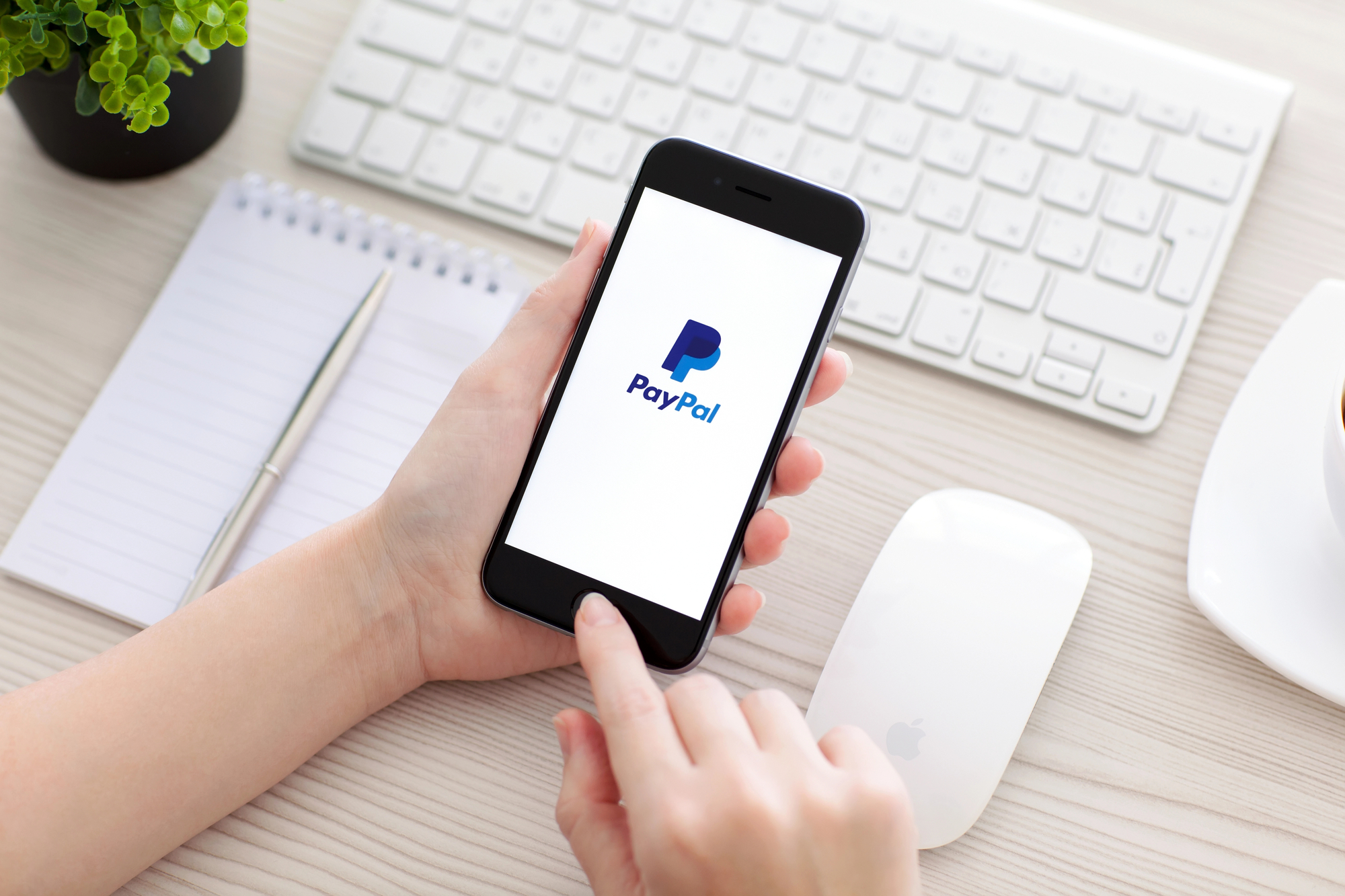 PayPal Stores That Accept PayPal Credit To Buy Now Pay Later - SavingK