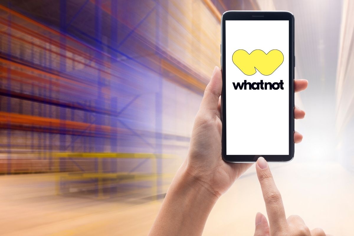 How To Make Money With Whatnot: The Complete Guide - SavingK