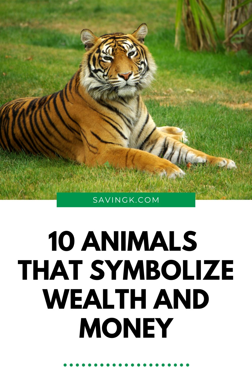 10 Animals That Symbolize Wealth And Money - SavingK