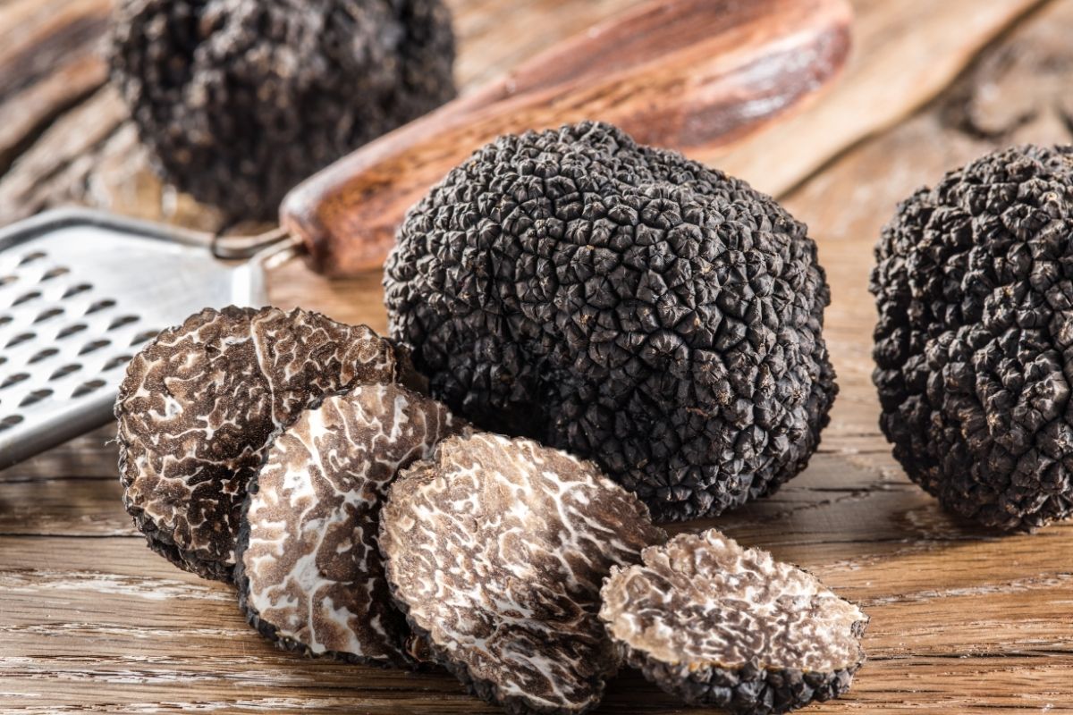 20 Weird Things Worth Investing In - SavingK